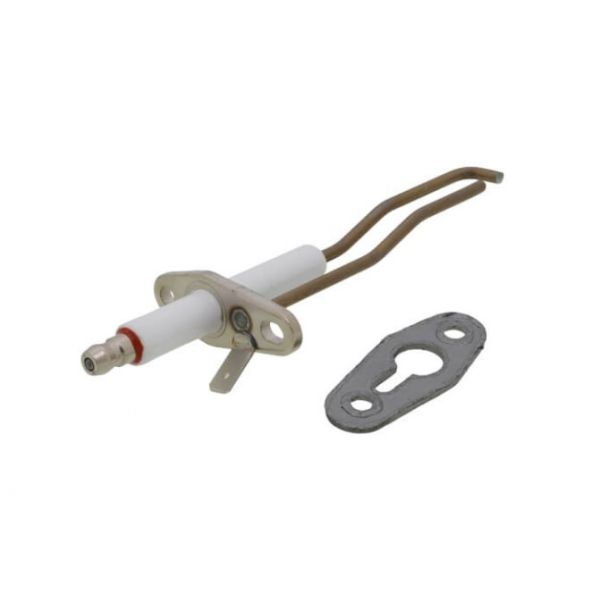 Triangle Tube PSRKIT15 Igniter W/Gasket 110-250 | PartsHnC
