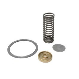 Spirax-Sarco 57130 1" Spring Kit 25 Series | PartsHnC