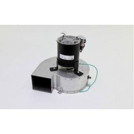 Aaon R78290-Combustion Motor Assembly 230V | PartsHnC